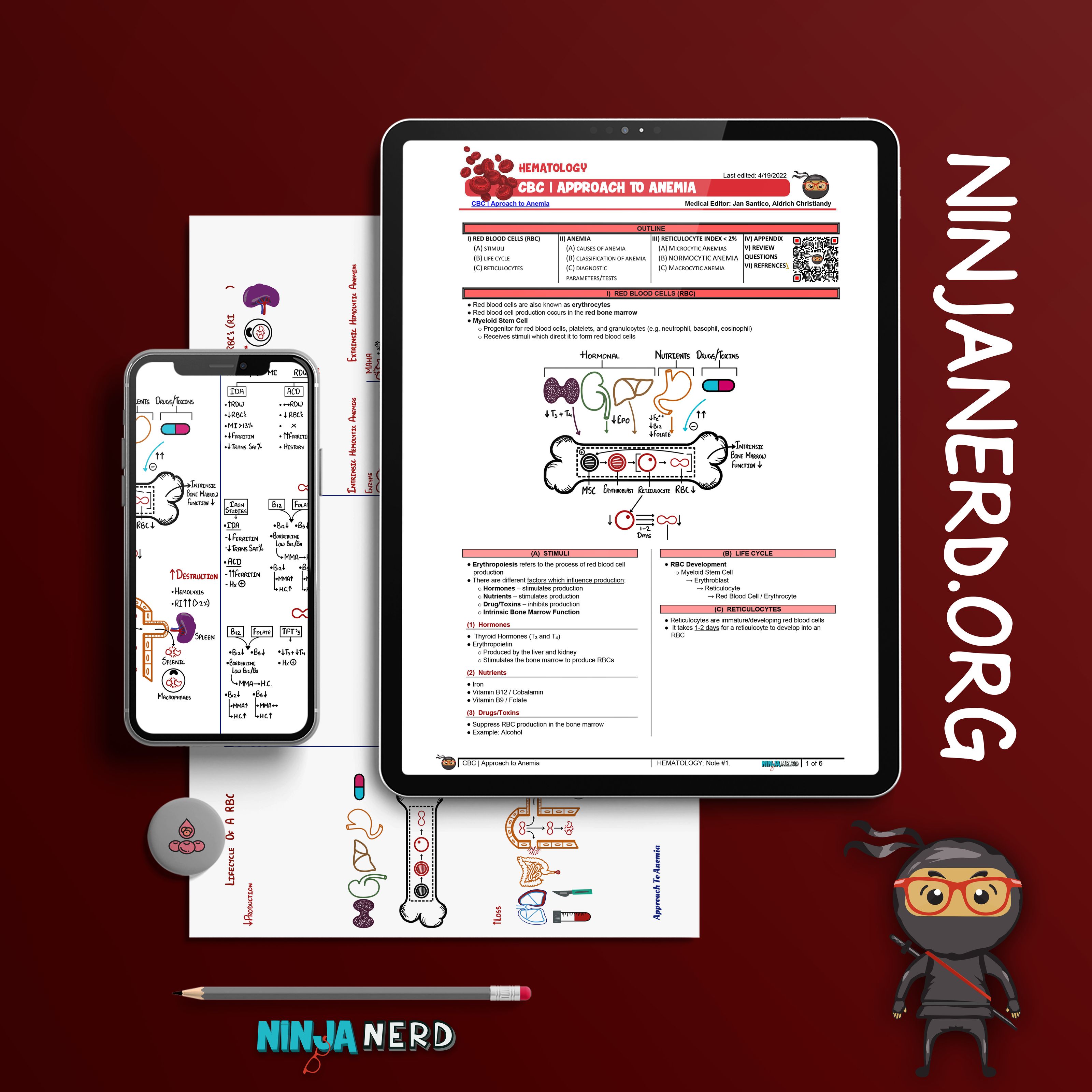 CBC | Approach to Anemia - Notes - NinjaNerd Medicine